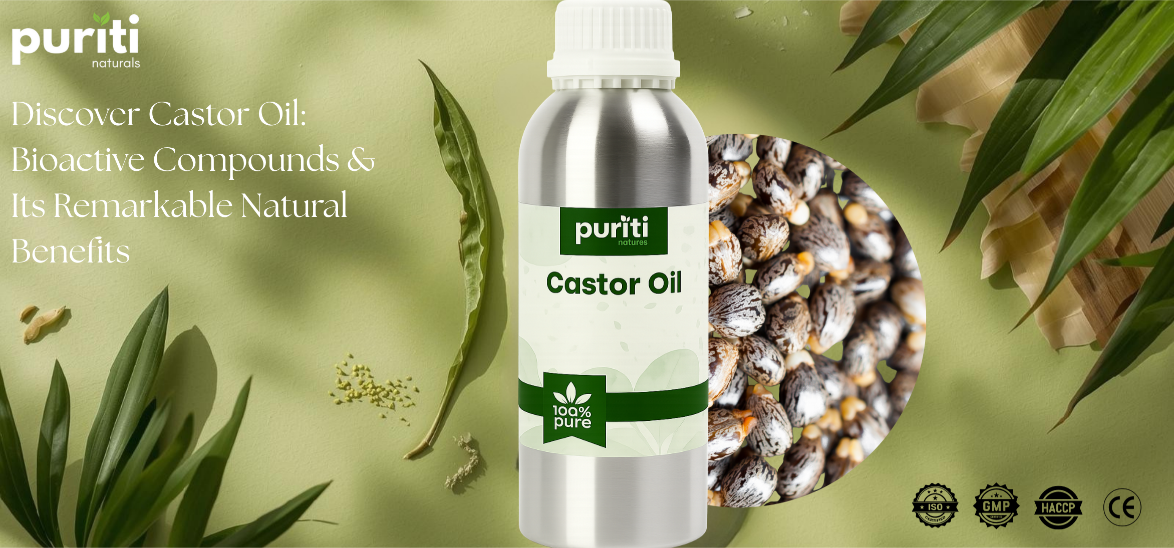DISCOVER CASTOR OIL: BIOACTIVE COMPOUNDS & ITS REMARKABLE NATURAL ...