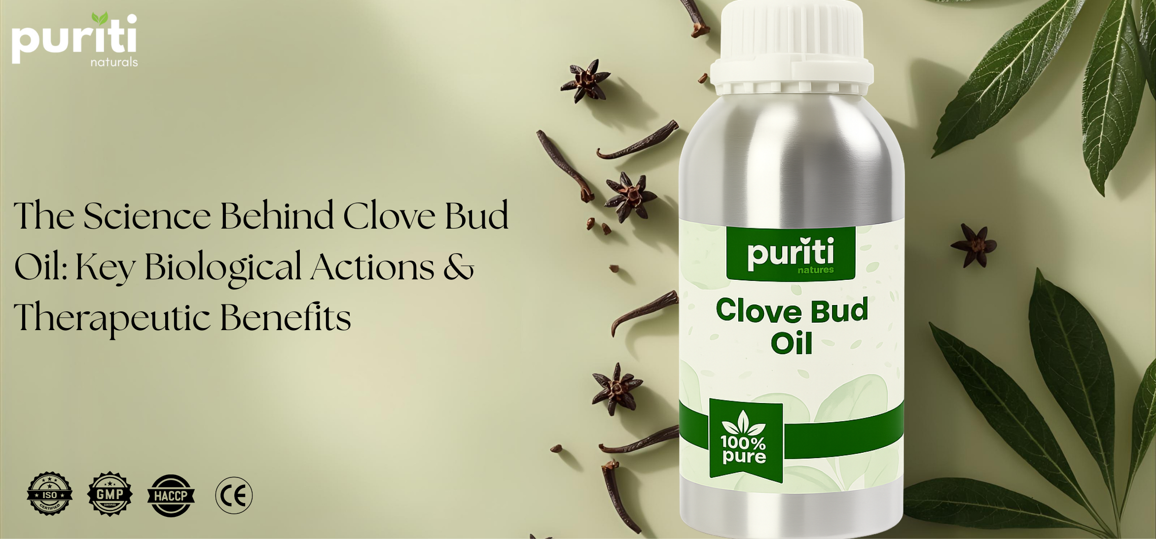 THE SCIENCE BEHIND CLOVE BUD OIL: KEY BIOLOGICAL ACTIONS & THERAPEUTIC ...